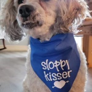 Dog Bandanas and Accessories - Dress Up Your Pup